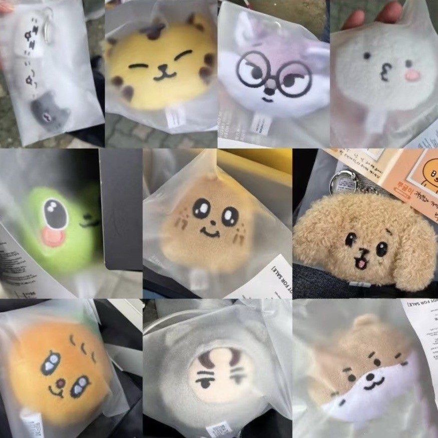 K-pop Idol Seventeen Plush Keyring Bag Charm Pendant JEONGHAN JOSHUA ...