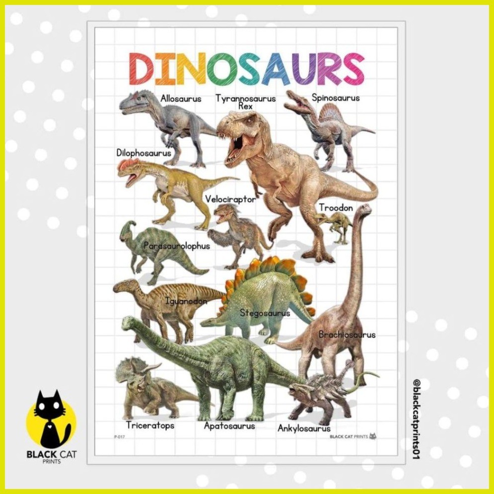 ♀ Dinosaurs Educational Chart Poster (High Quality Print / A4 Size ...