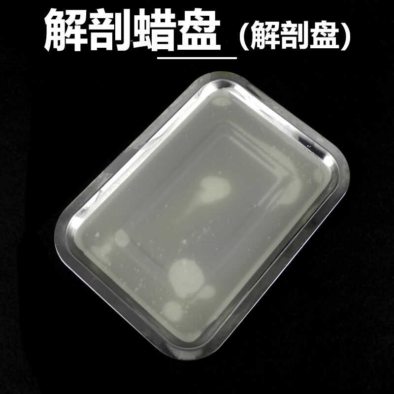 27003 Stainless Steel Dissection Thicked Disk Wax Basin Biological ...