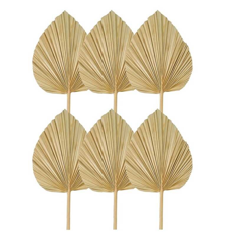 LY 6Pcs Dried Palm Leaves Natural Dried Palm Fans,Large Palm Spear For ...