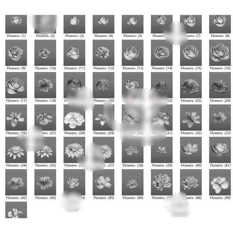 Flower Petals Flower Roses Rhinoceros Modeling Rhino/C4D/3Dmax/Maya ...