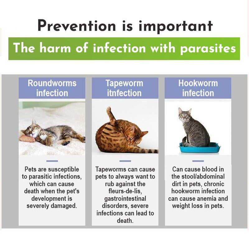 BAYER Drontal Plus for Cat Roundworms and Tapeworms Removal | Shopee ...