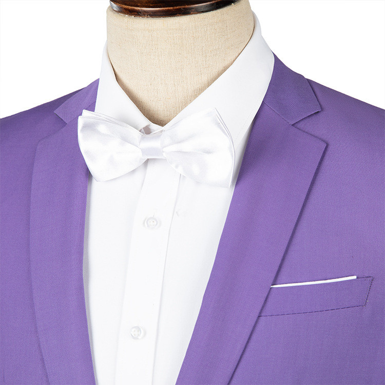 Violet Men's Suit Suit Dress Groomsmen Host Stage Adult Chorus ...