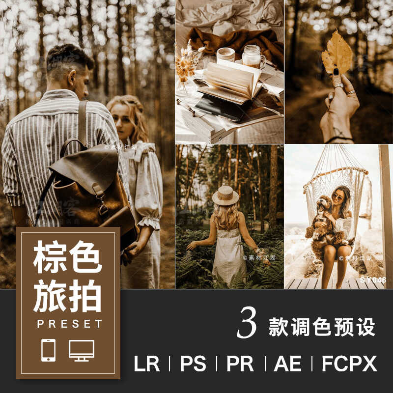Instagram filter brown portrait LR mobile version preset Lightroom/PS ...