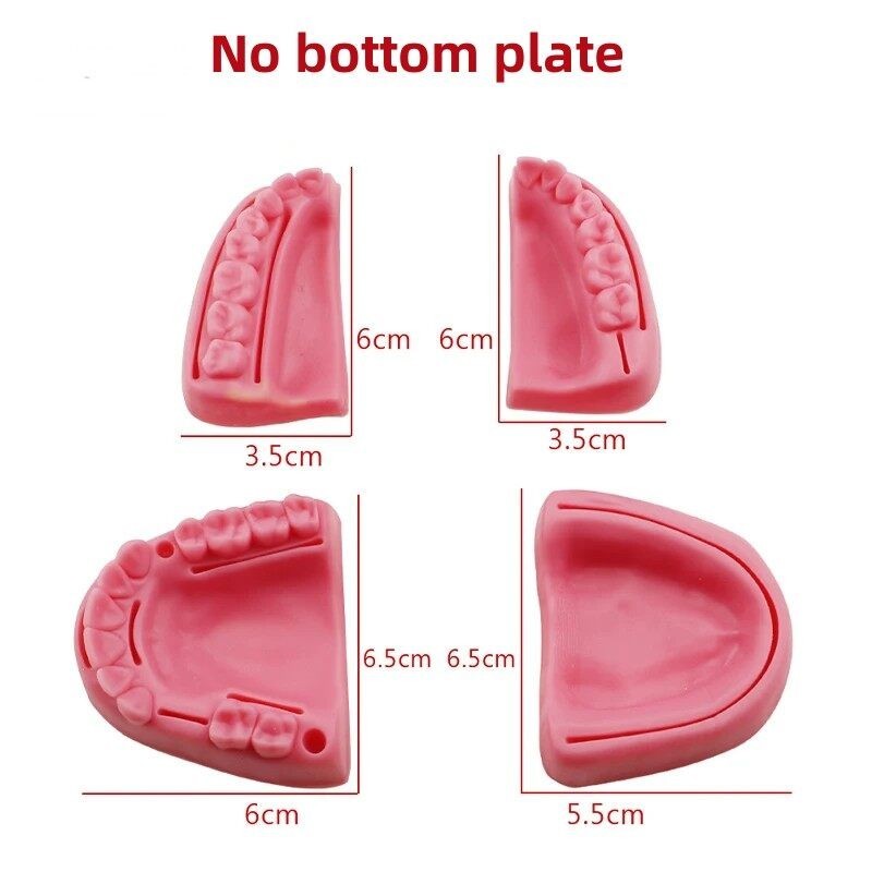 Dental Oral/Gingival Suture Module Oral Suture Model For Medical ...