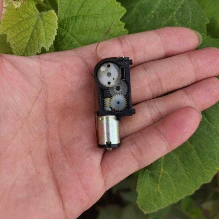 Dismantling Worm DC Micro Reduction Gear with Small Motor Copal ...