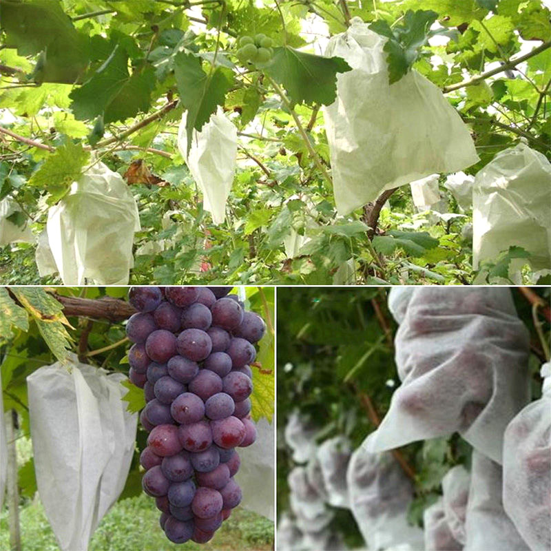 Non Woven Grape Bag Insect and Bird Proof Waterproof Special Bag Fruit ...