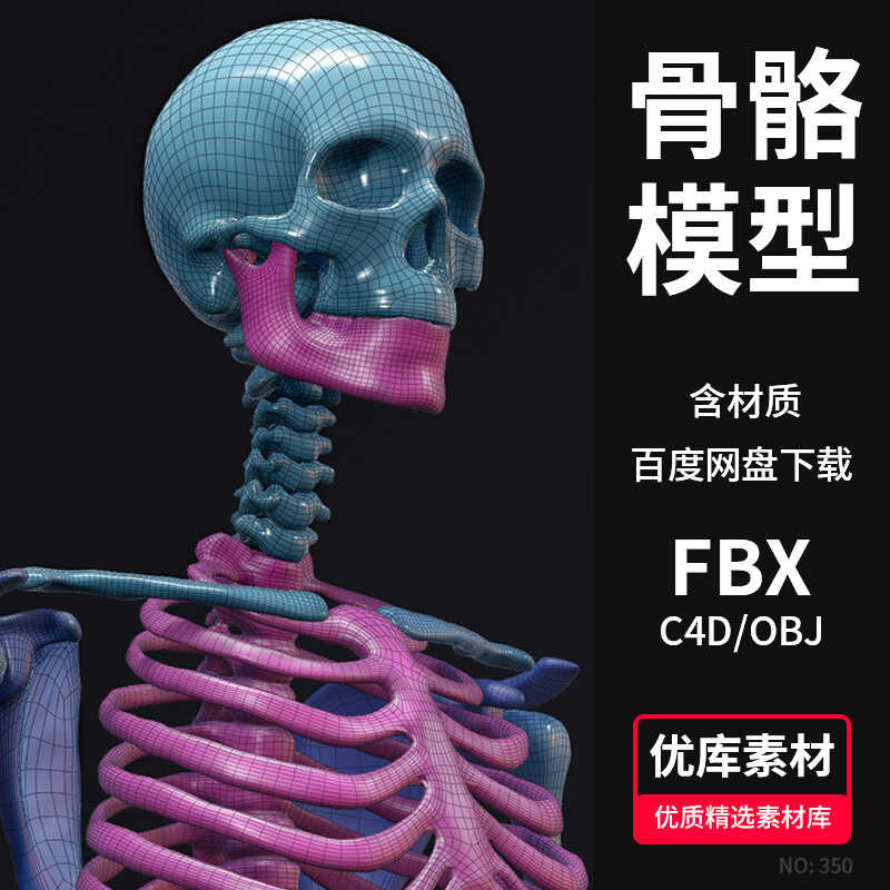 3D Human Skeleton Model Skeleton Skeleton C4D/MAX/MAYA/Blender/FBX/OBJ ...