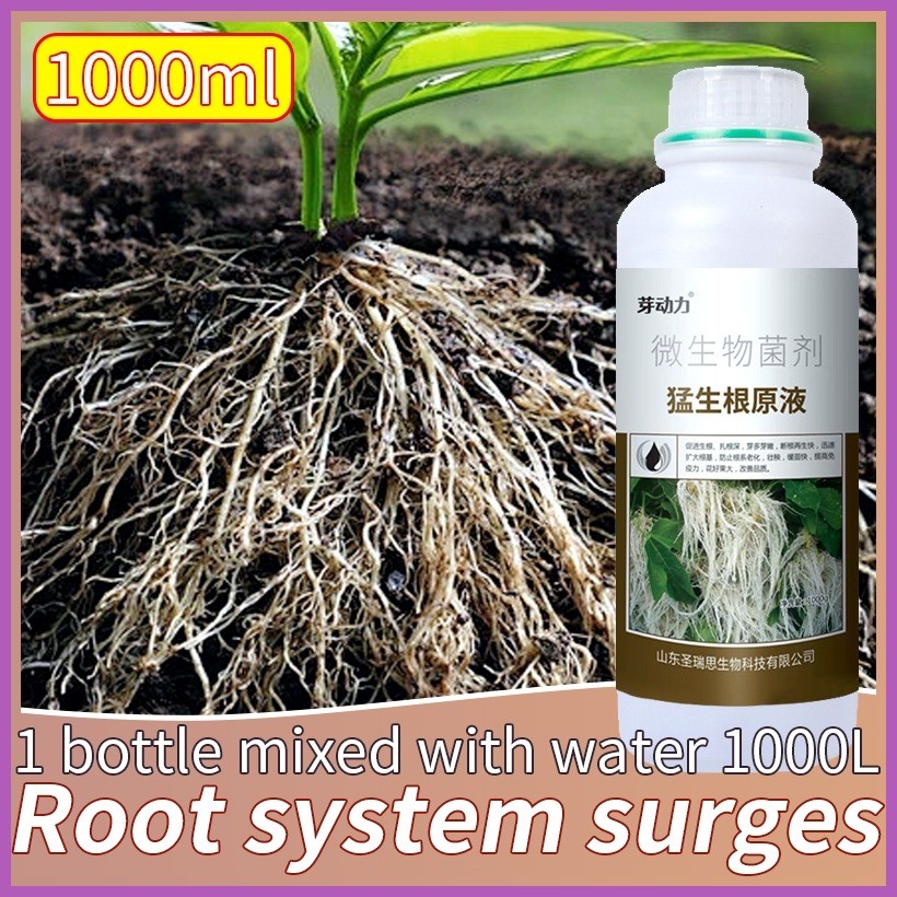 Root system surges ultra rooting 1000g rooting hormones for plant ...