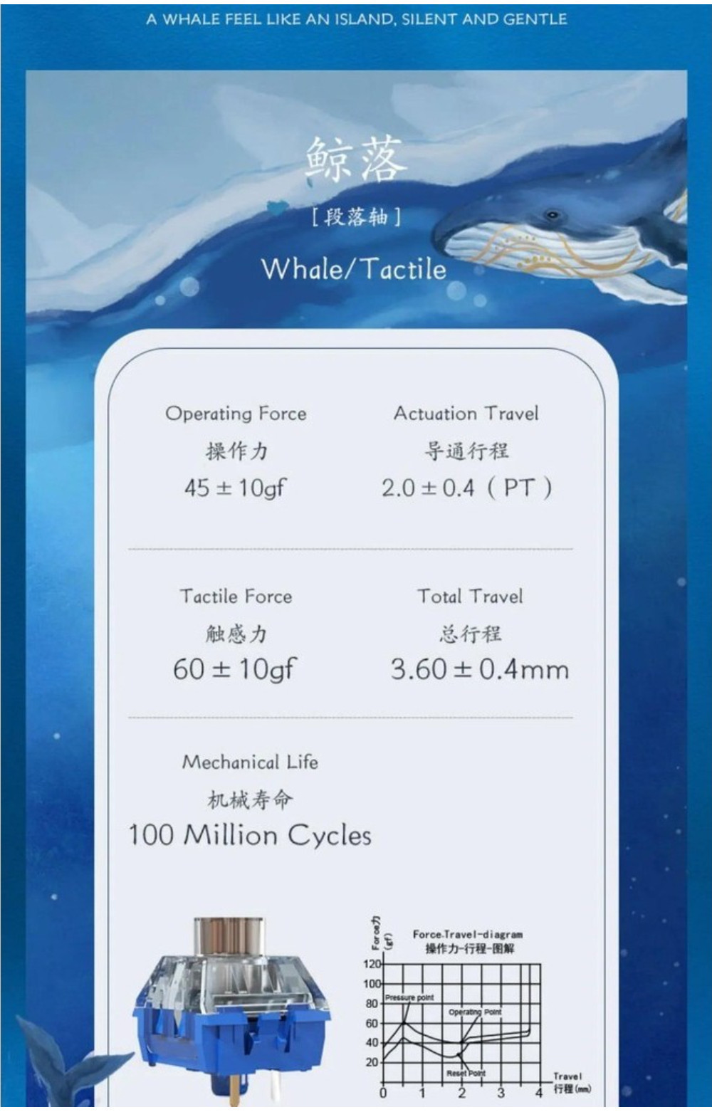 Kailh Whale Switch Tactile Switch Islet Linear Switch 45g RGB ...