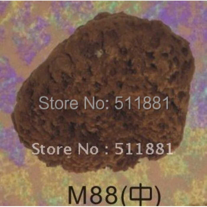 4'' NCCTEC natural na damong dagat ispong para sa pagpipinta ng pader ...