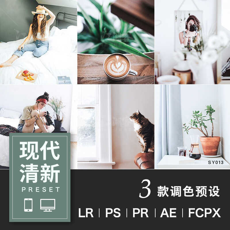 Fresh Wedding Follow up LR Preset PS Portrait Lightroom Color Mixing PR/FCPX Da Vinci Lut Filte ...