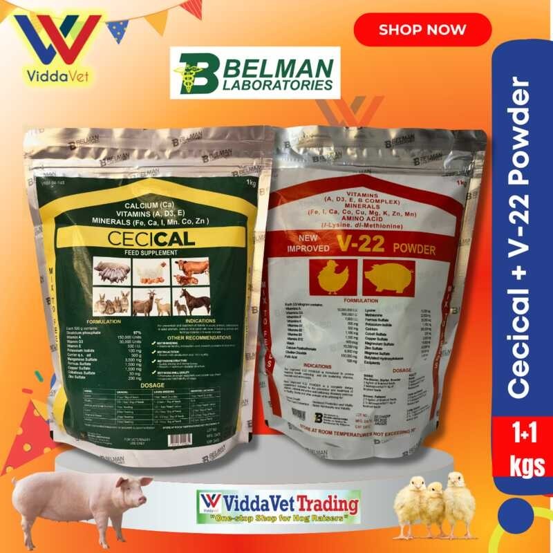 1kg Cecical Powder + 1 kg V22 Powder cecical powder 1kg belman products ...