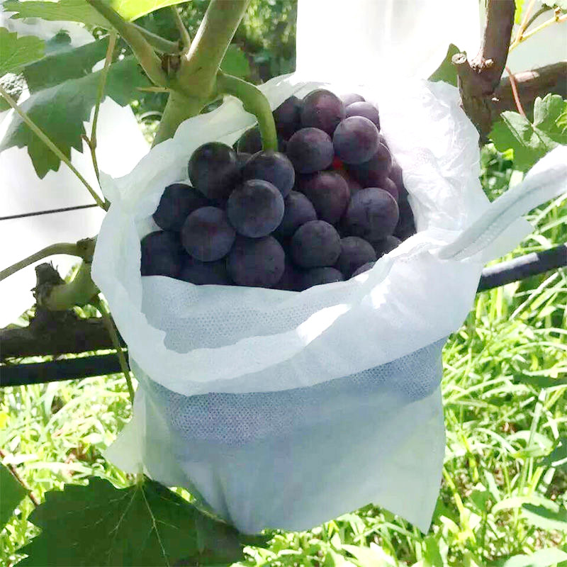 Non Woven Grape Bag Insect and Bird Proof Waterproof Special Bag Fruit ...