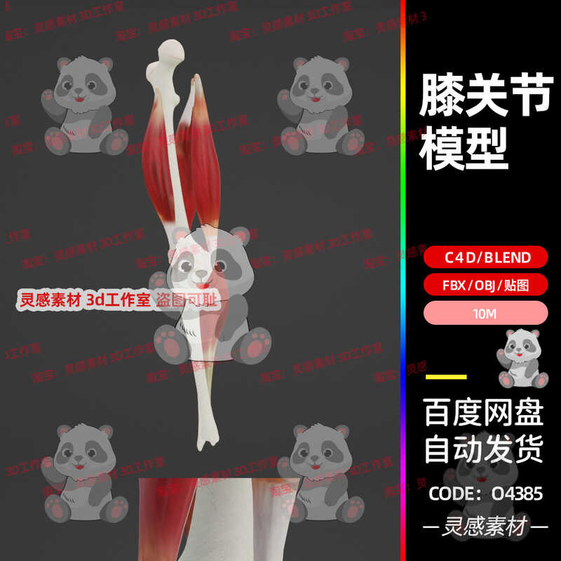 Blender human leg muscles, knee joints, muscle bones, leg bones 3D ...