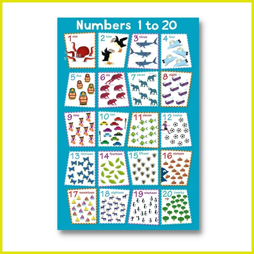 Laminated Human Body, Alphabet, Times Table, Numbers 1-20, Numbers 1 ...