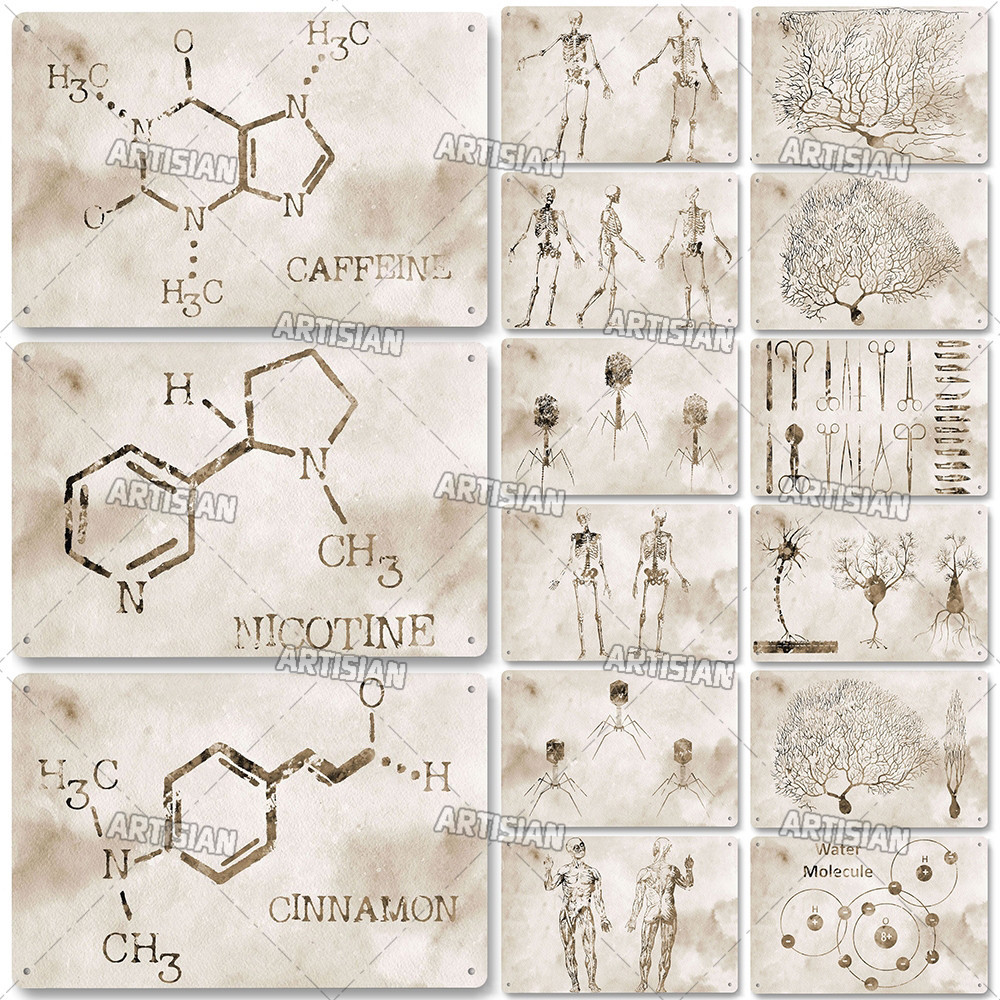 Artisian Clinic Metal Plate Dentisit Tin Poster Anatomy Decorative ...