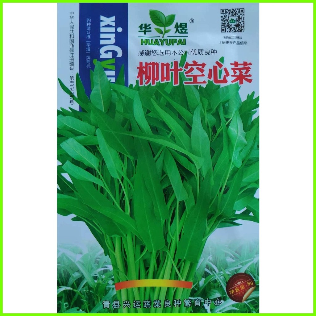 ☃ Chinese Kangkong Water Spinach Upland Seeds ( 50 seeds ) - Basic Farm ...