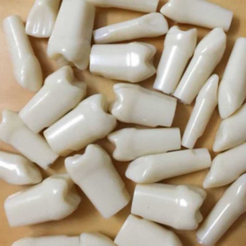 LY ♛ 32 PCS / High Quality Resin Simulation Tooth Grain Dental Model ...