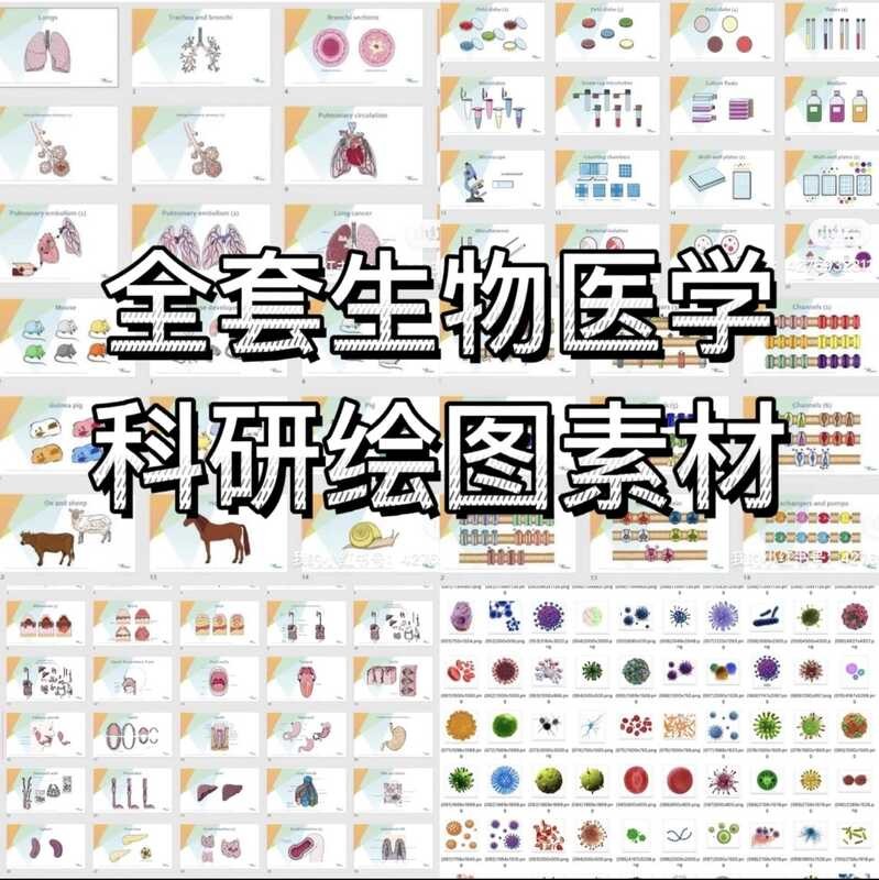 PPT research in scientific material drawing, complete set of biomedical ...