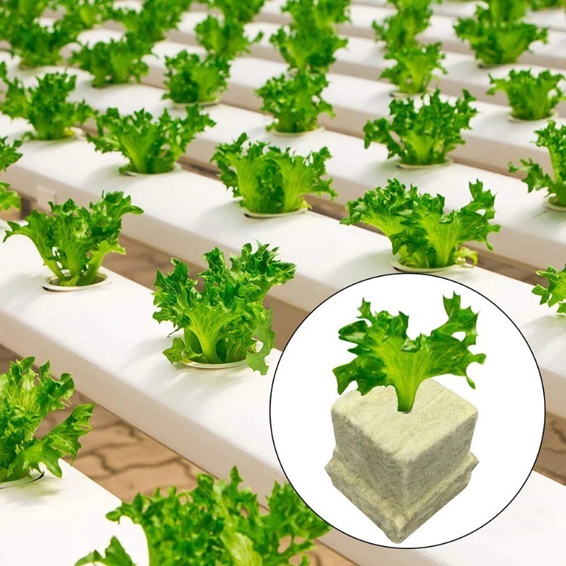 Rockwool Cubes - Cultivation Planting Blocks - for Hydroponics ...