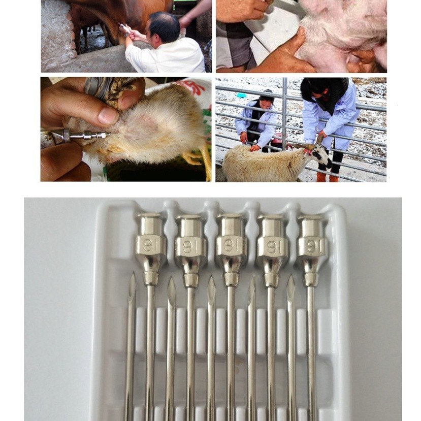 10pcs Veterinary mixed stainless steel needle set Pig cattle sheep dog ...