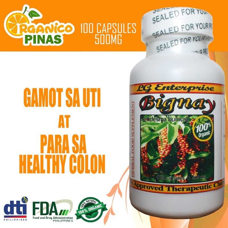 S08 Bignay Gamot sa UTI at para sa Healthy Colon Capsules 100s x 500mg ...