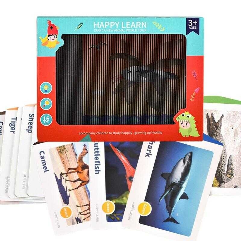 18 Piece Set Ng 3D Flash Cards Para Sa Maagang Pag-Aaral, Montessori ...