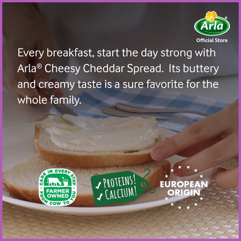 Arla Cheesy Spread Cheddar 240g | Shopee Philippines