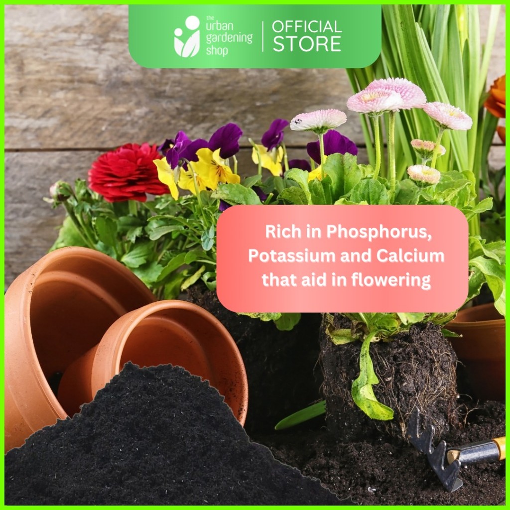 ۞ ♕ THE URBAN GARDENING SHOP 8-liter RIce Husk Biochar (Carbonized Rice ...