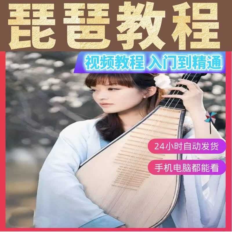 Beginner's Pipa Tutorial Pipa Teaching Zero Foundation Self study ...