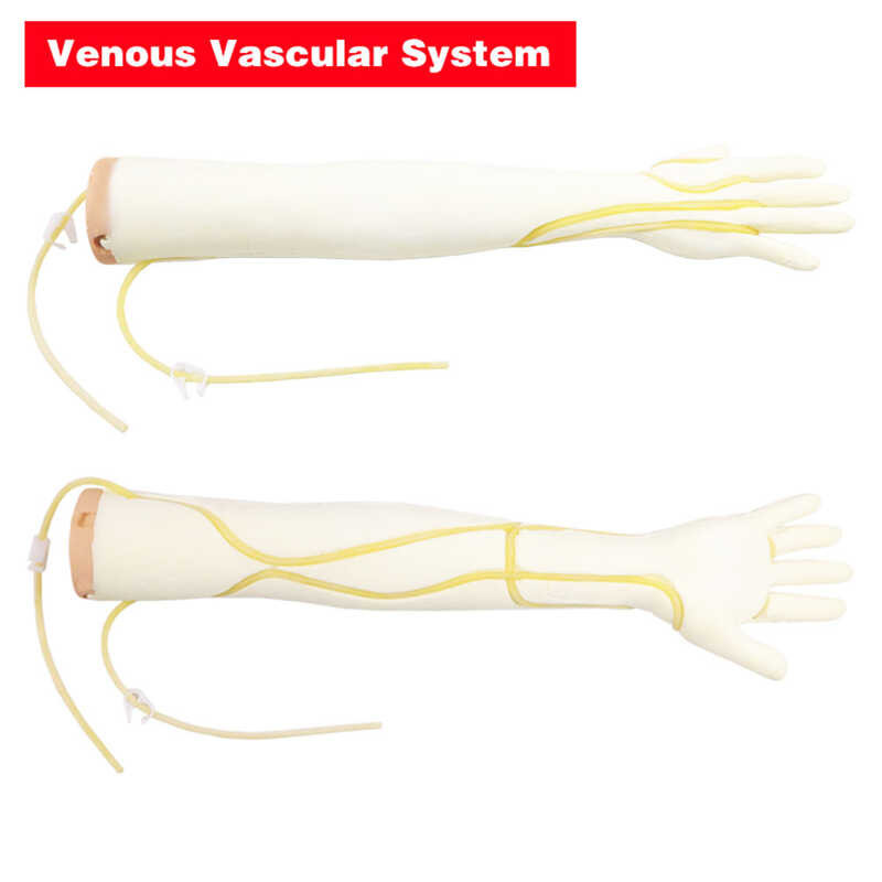 LY ♛ DARHMMY IV - Injection Arm Phlebotomy Intravenous Infusion ...