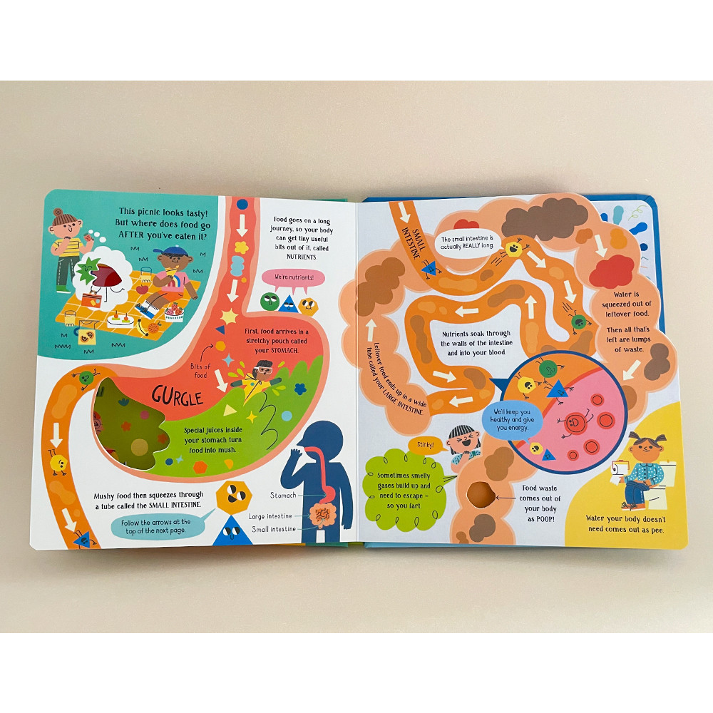 Usborne Step Inside Science Your Body 3D Flap English Picture Book for ...