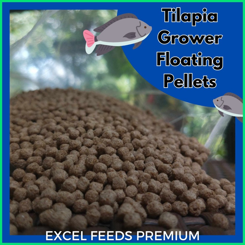 Excel Feeds Premium Tilapia Grower Floating Pellets 1kg | Shopee ...