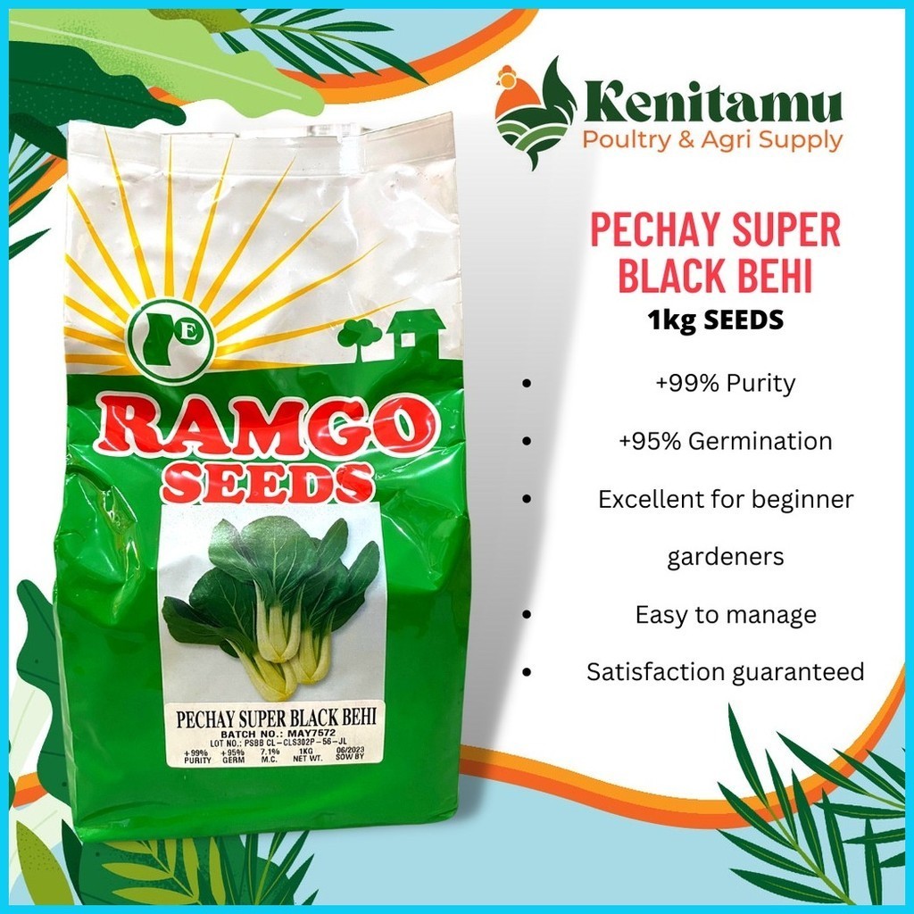 ⊕ PECHAY SUPER BLACK BEHI KILO PACK, RAMGO SEEDS INTERNATIONAL | Shopee ...
