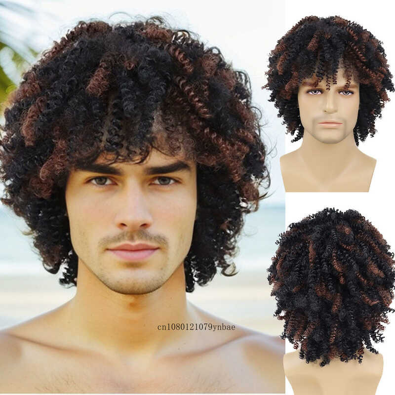 Afro Synthetic Short Kinky Curly For Black Men Male Fluffy Disco Anime ...