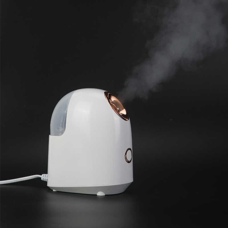 Nano Mist Sprayer Facial Steamer Hot Spray Beauty Domestic Humidifier ...