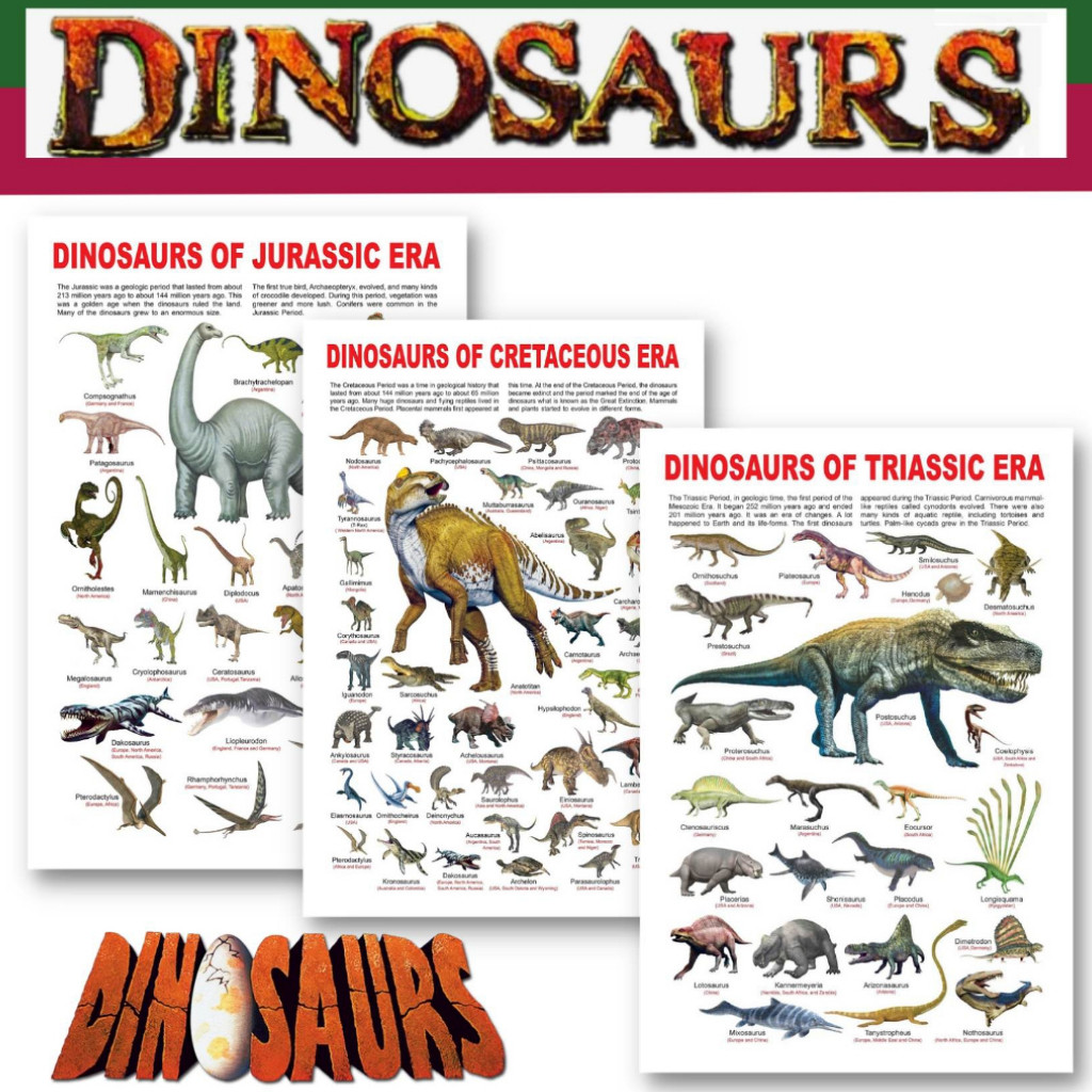Laminated Types of Dinosaur, Dinosaur Names for Kids, Learners and ...