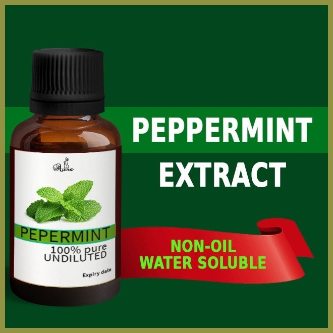 Peppermint EXTRACT (Pure ) | Shopee Philippines