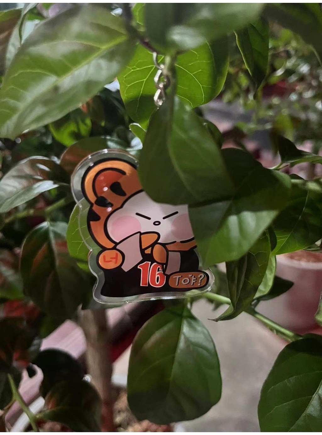 New Kpop Idol Seventeen Hoshi Cute Cartoon Characters Keychains Acrylic ...