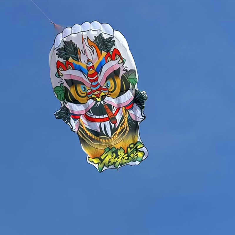 6M 3D Skeletonless Soft 8 Kites Beach Nylon Easy To Fly And Tear Proof ...