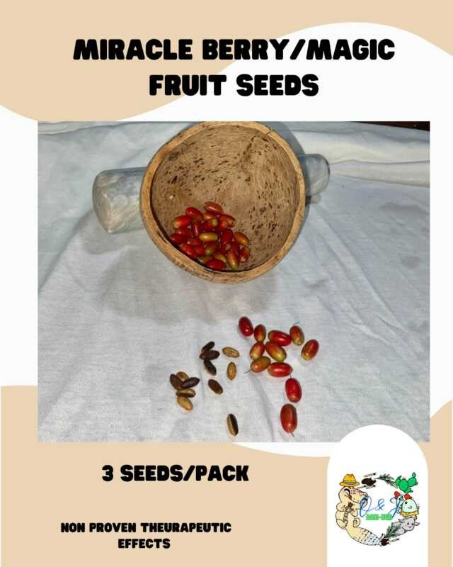 Magic Fruit Seeds (3 Pieces/Pack) | Shopee Philippines