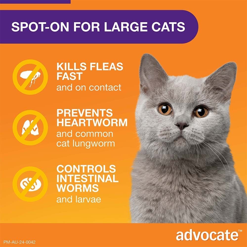 Advocate Spot-On Flea and Worm Treatment for Cats Under 4kg and 4-8kg ...