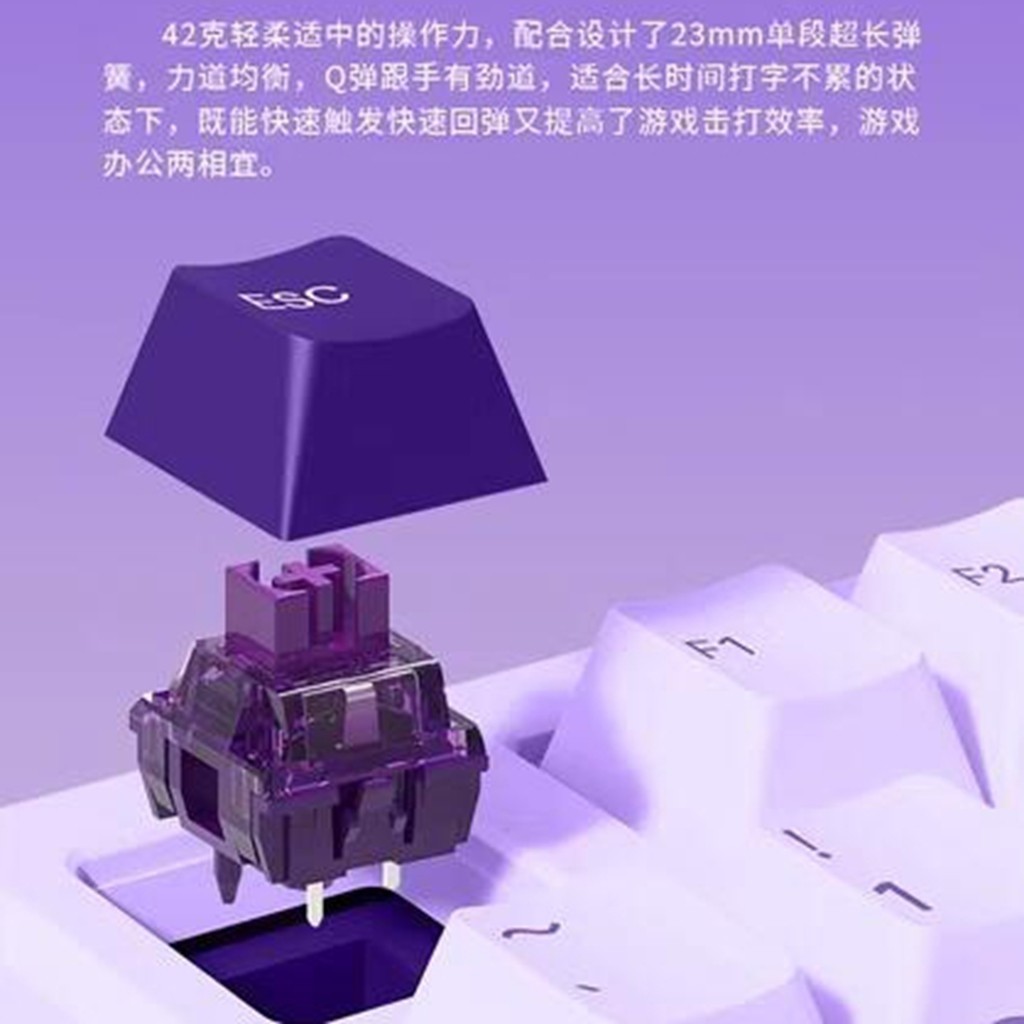 TTC Flame Purple Switch V2 42g 5 Pins 23mm Silver Spring Typing Office ...