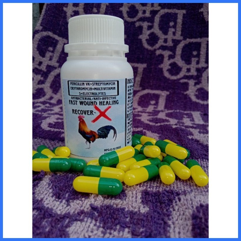 ∆ recover X gamot sa sugat ng manok with vitamins(60pcs) | Shopee ...