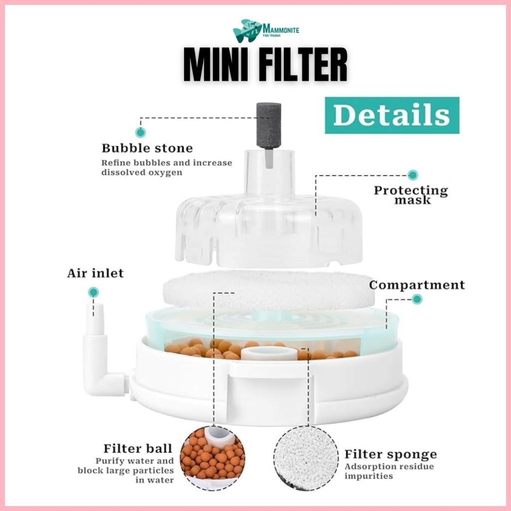 Qanvee Aquarium Mini Filter Pump YX-300 Mini Sponge Filter with 2-Stage Filtration | Shopee ...