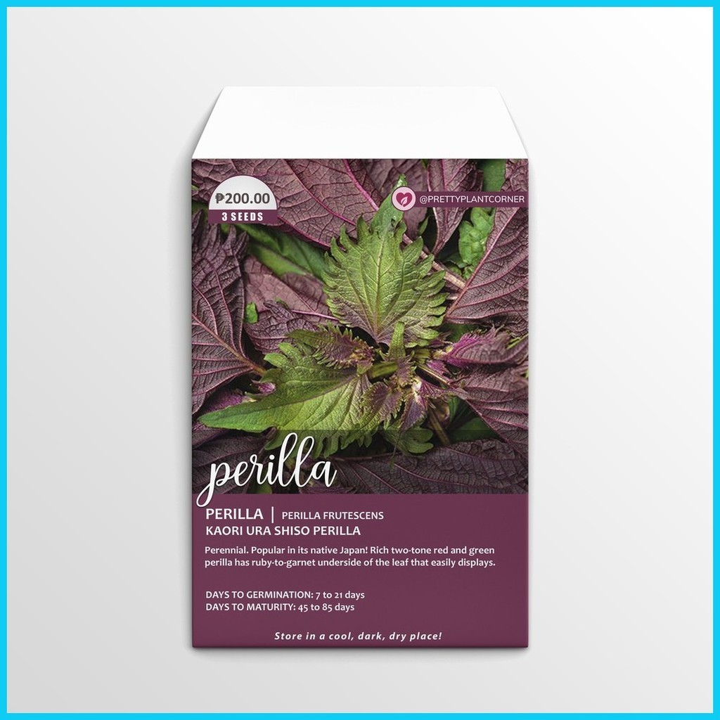 Kaori Ura Shiso Perilla Seeds | Shopee Philippines