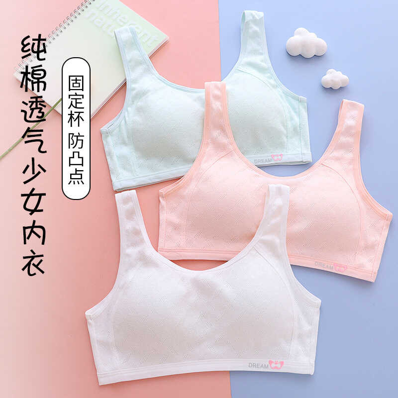 Girl bra developmental period lingerie girl student junior high school ...