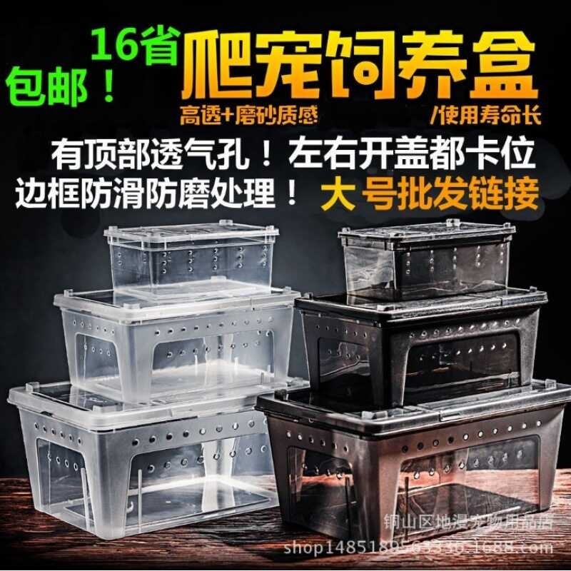 Crawling pet breeding crawling box, horned frog, spider, silkworm baby ...