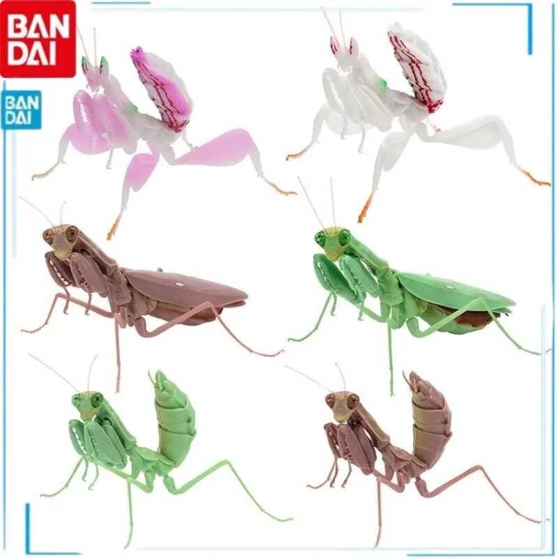Bandai Insects Series Mantis Spider Scorpion Wasp Simulation Insect ...